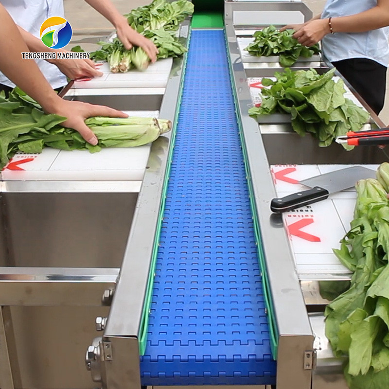 Meja Sortasi Buah Sayuran Daging Mesin Makanan Struktur Tipe SS304 Z