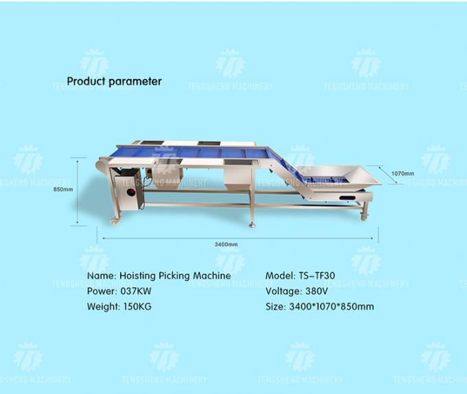 Mesin Meja Sortasi Sayuran dan Buah Berdaun Otomatis Industri