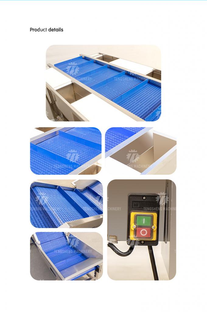 Mesin Meja Sortasi Sayuran dan Buah Berdaun Otomatis Industri